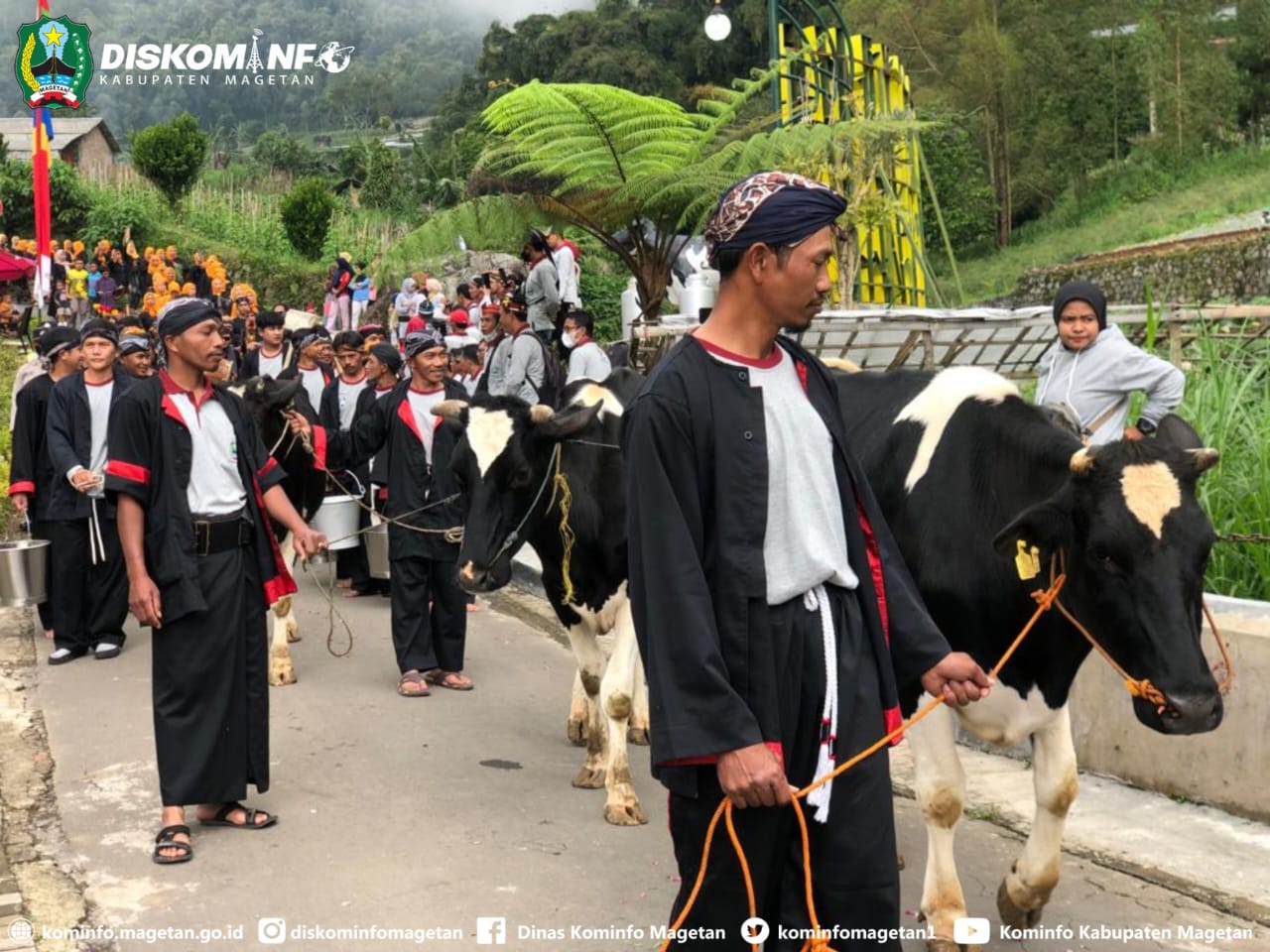 Kabupaten Magetan Wilayah Budidaya Sapi Perah di Jatim – Dinas ...
