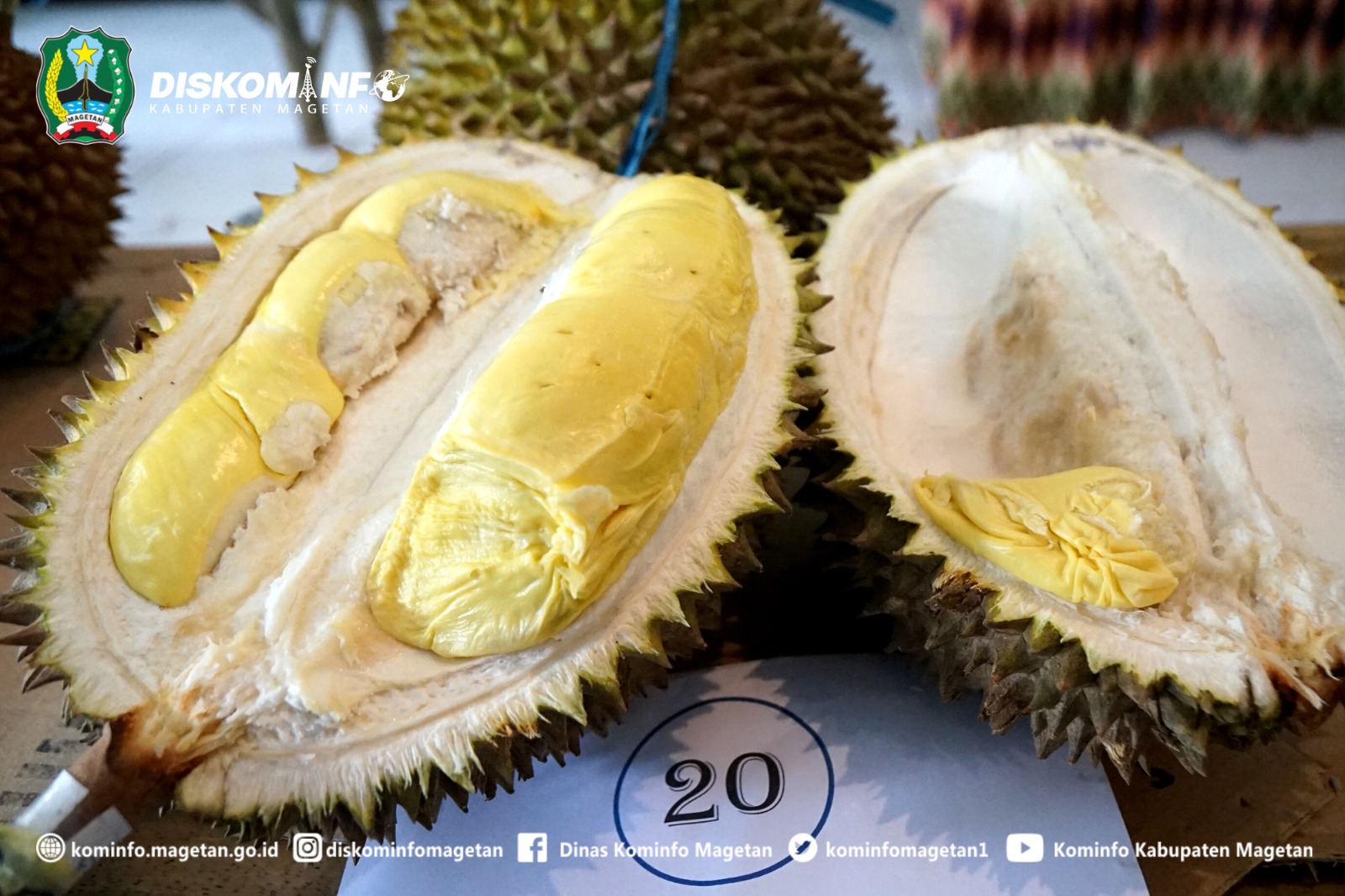 Durian dari Kecamatan Poncol Jadi Durian Terenak di Magetan Tahun 2023 – Dinas Komunikasi dan ...