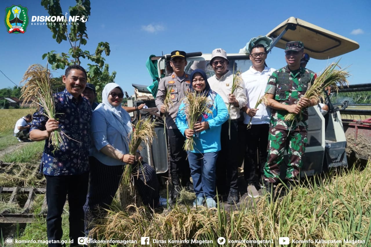 Wujudkan Kedaulatan Pangan, Magetan Ikuti Panen Raya Padi Serentak di 14 Provinsi bersama ...